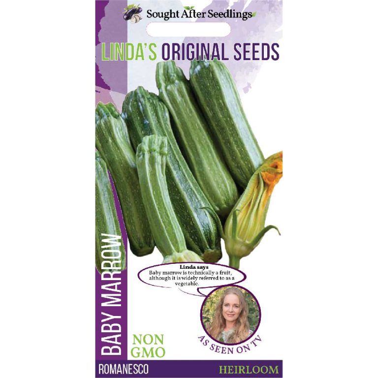 Baby Marrow Romanesco Seeds | Sought After Seedlings